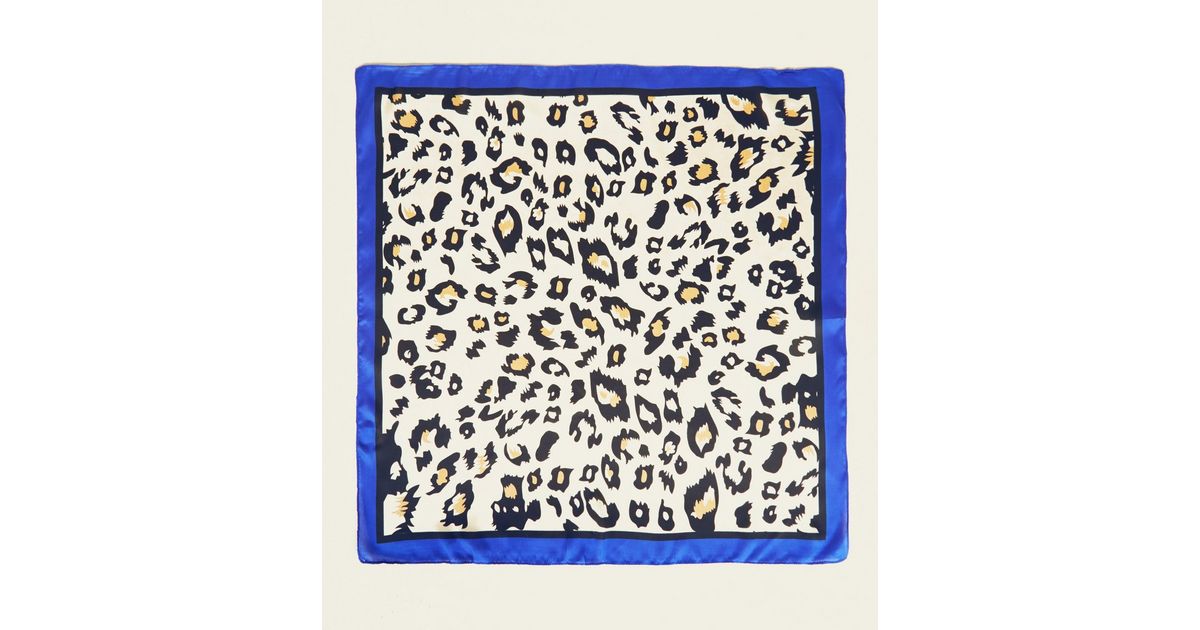 Blue Leopard Border Print Scarf | New Look