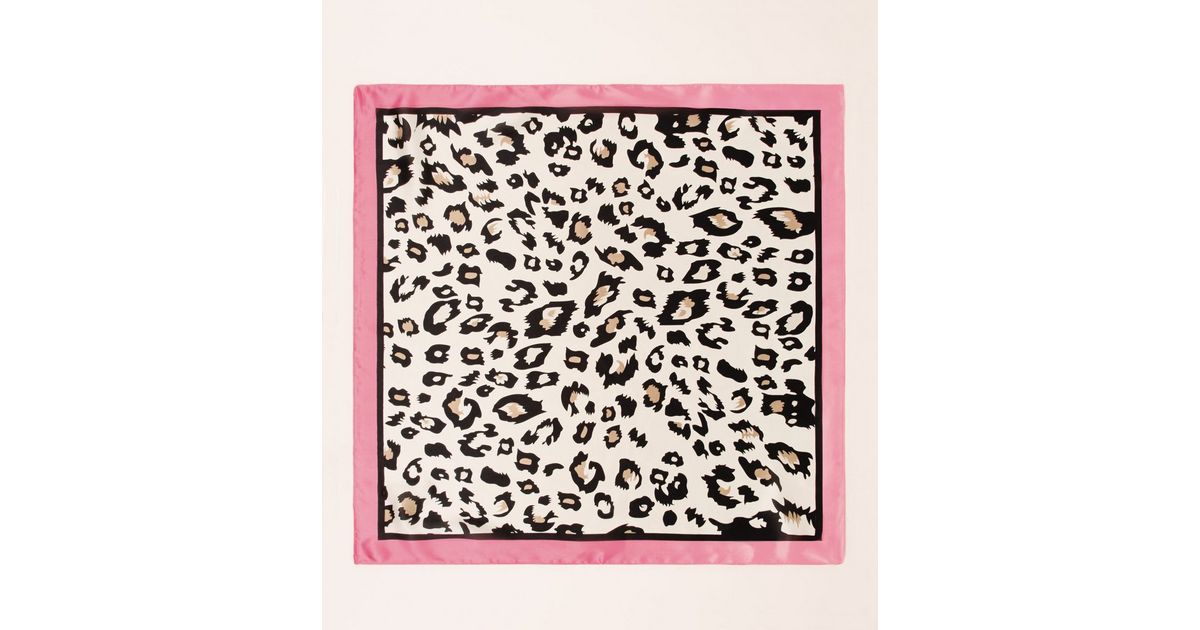 Bright Pink Leopard Border Print Scarf | New Look