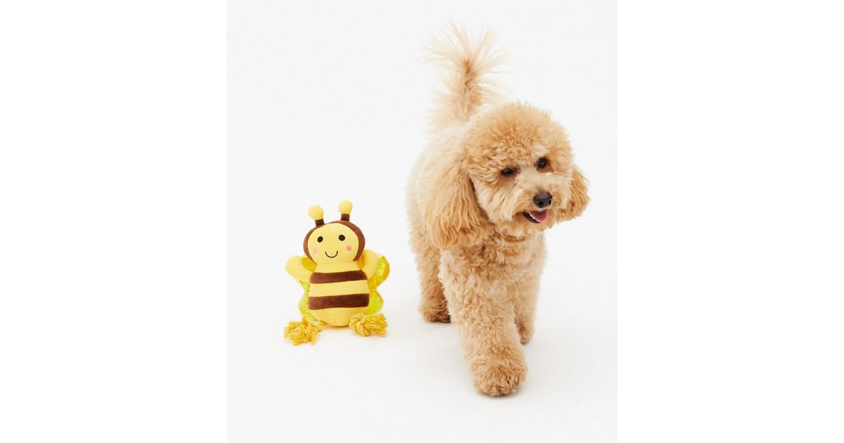 Yellow Bee Dog Toy | New Look