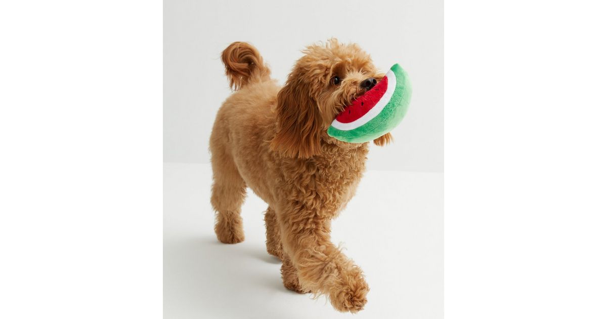 Red Watermelon Squeaky Dog Toy | New Look