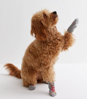 Pale Grey Here For The Food Christmas Dog Socks | New Look