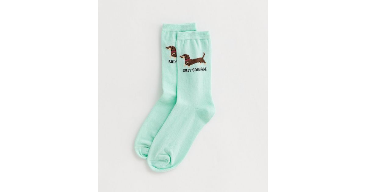 Mint Green Silly Sausage Dog Socks | New Look