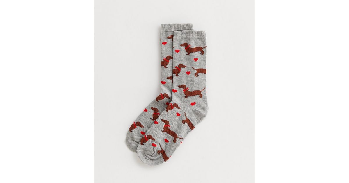 Pale Grey Sausage Dog Socks | New Look