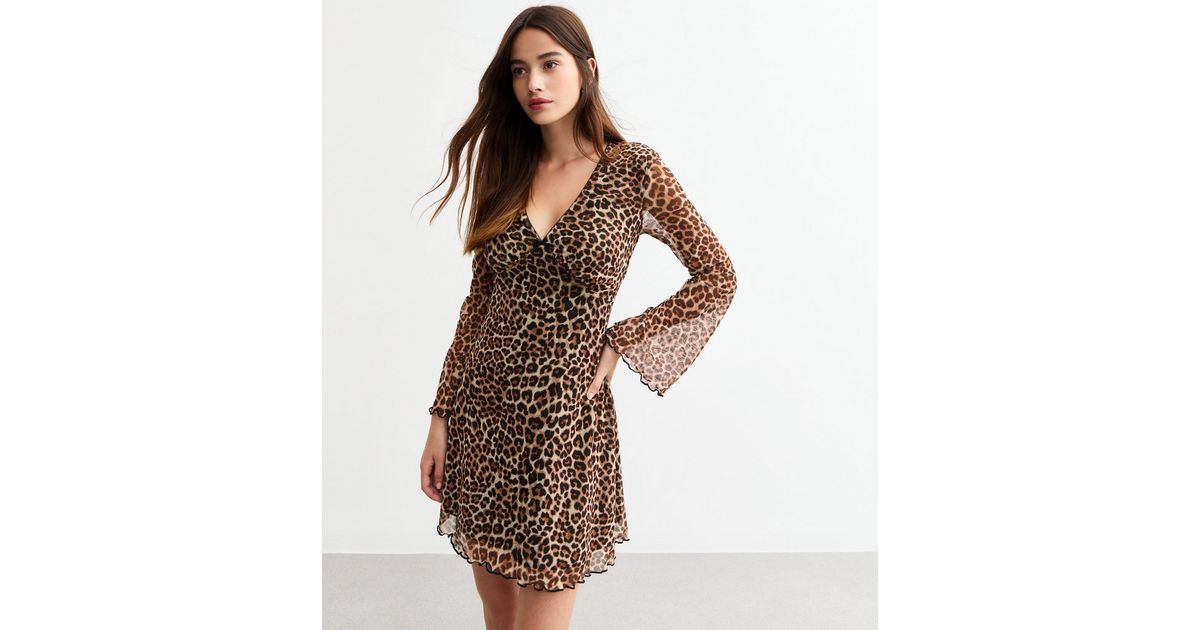 Leopard Print Flared Sleeve Mesh Mini Dress | New Look