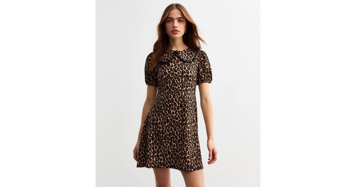 Brown Leopard Print Peter Pan Collar Mini Dress | New Look