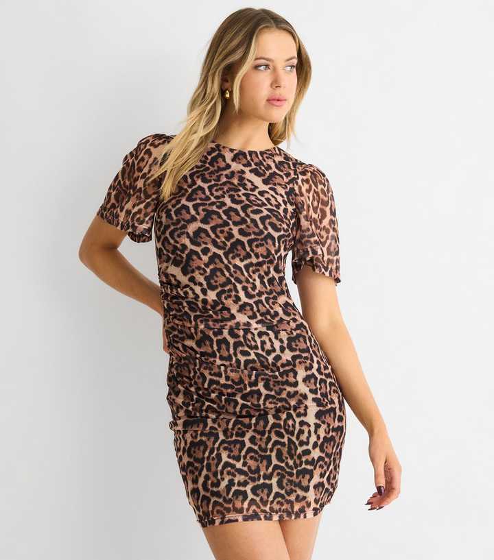 Gini London Brown Leopard Print Stretch Mesh Mini Dress | New Look