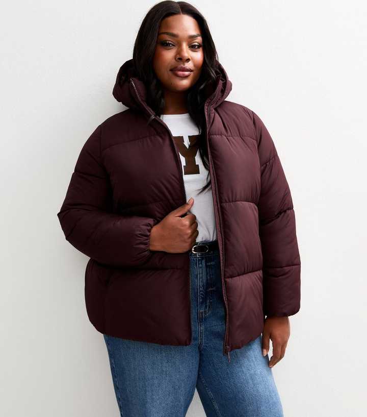 Curves Dark Brown Cropped Puffer Jacket | New Look
