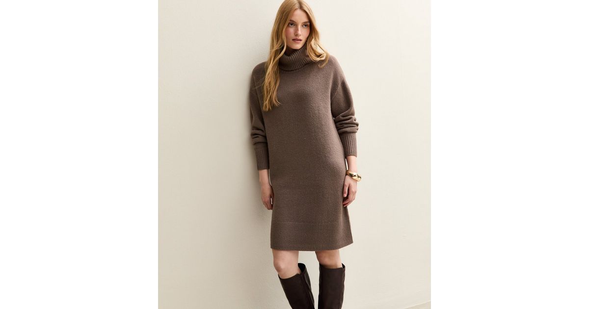 Mink Midweight Knit Roll Neck Mini Dress | New Look