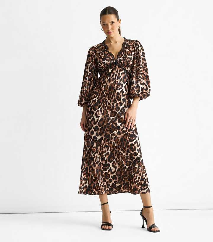 Gini London Brown Leopard Print Dress | New Look