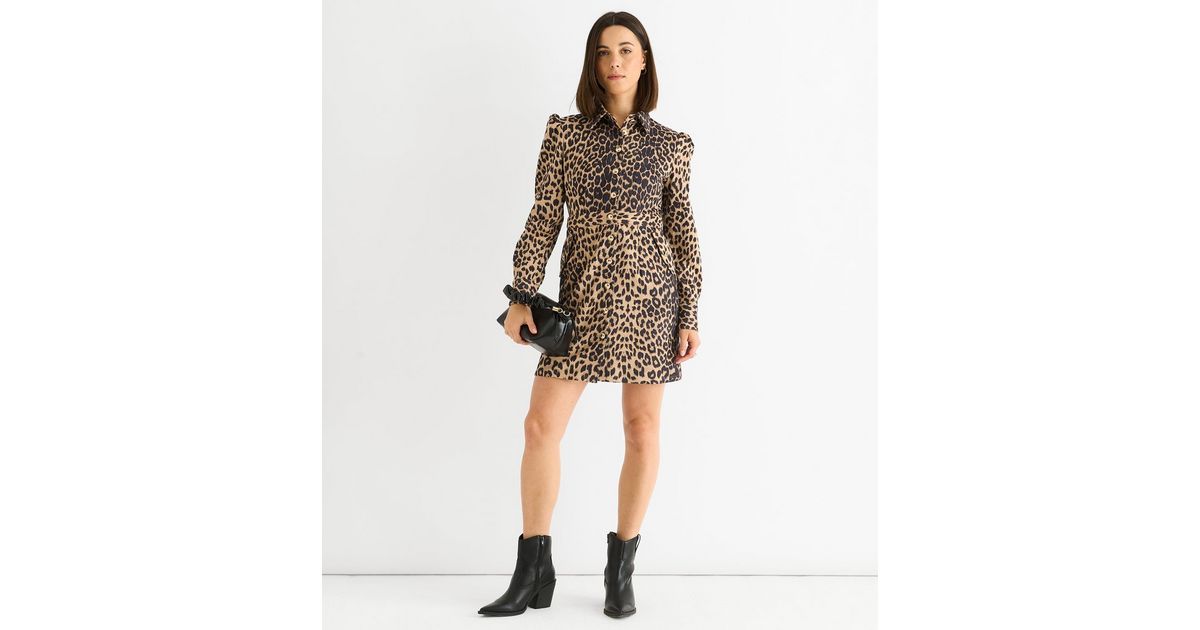 Gini London Leopard Print Shirt Mini Dress | New Look