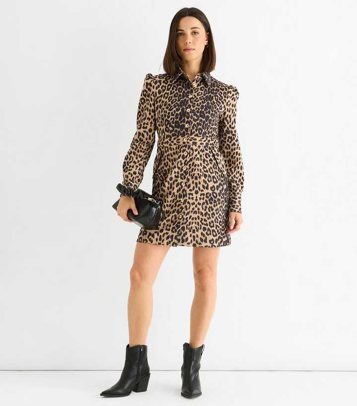 Gini London Leopard Print Shirt Mini Dress | New Look